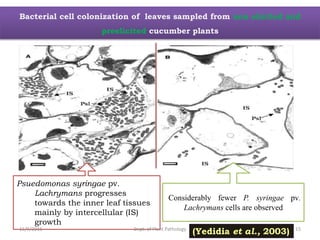 ISR IN PLANTS THROUGH FUNGAL BIOCONTROL AGENTS | PPTX