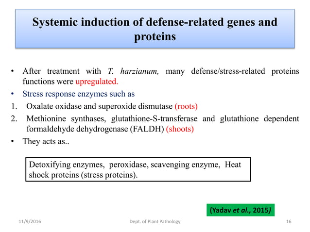 ISR IN PLANTS THROUGH FUNGAL BIOCONTROL AGENTS | PPT