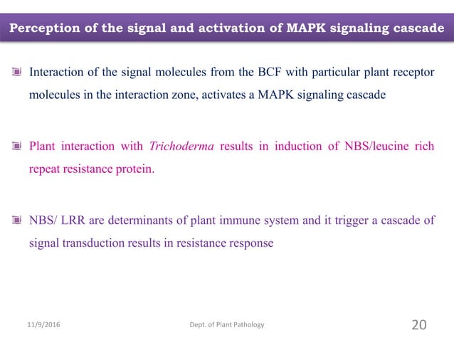 ISR IN PLANTS THROUGH FUNGAL BIOCONTROL AGENTS | PPT