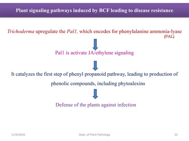 ISR IN PLANTS THROUGH FUNGAL BIOCONTROL AGENTS | PPT