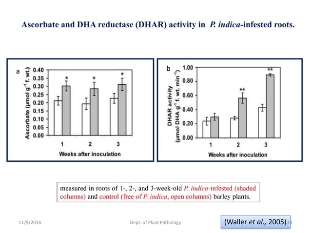ISR IN PLANTS THROUGH FUNGAL BIOCONTROL AGENTS | PPT
