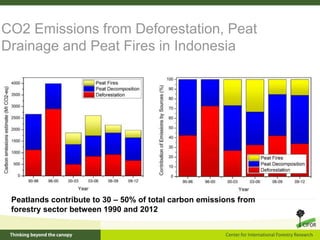 Assessment of Large Scale Land Cover Change Classification and Drivers ...