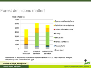 Assessment of Large Scale Land Cover Change Classification and Drivers ...