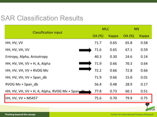 Characterizing Forest Degradation and Carbon Biomass Assessment in ...