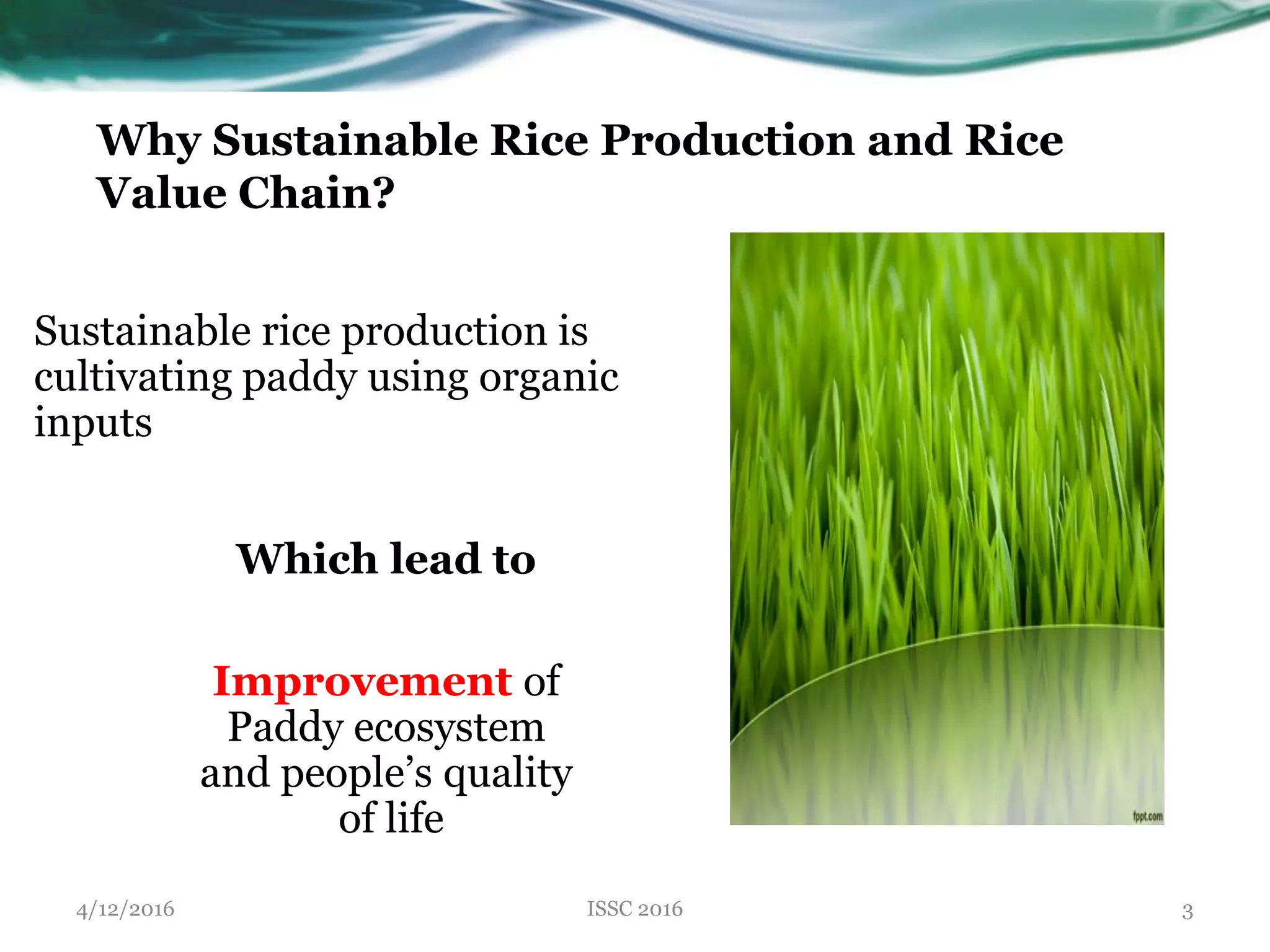 Sustainable Rice Production and Its Impact on the Rice Value Chain: A ...