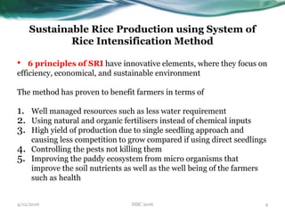 Sustainable Rice Production and Its Impact on the Rice Value Chain: A ...