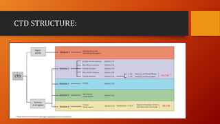 Integrated Summary of Safety and Integrated Summary of Effectiveness | PPTX