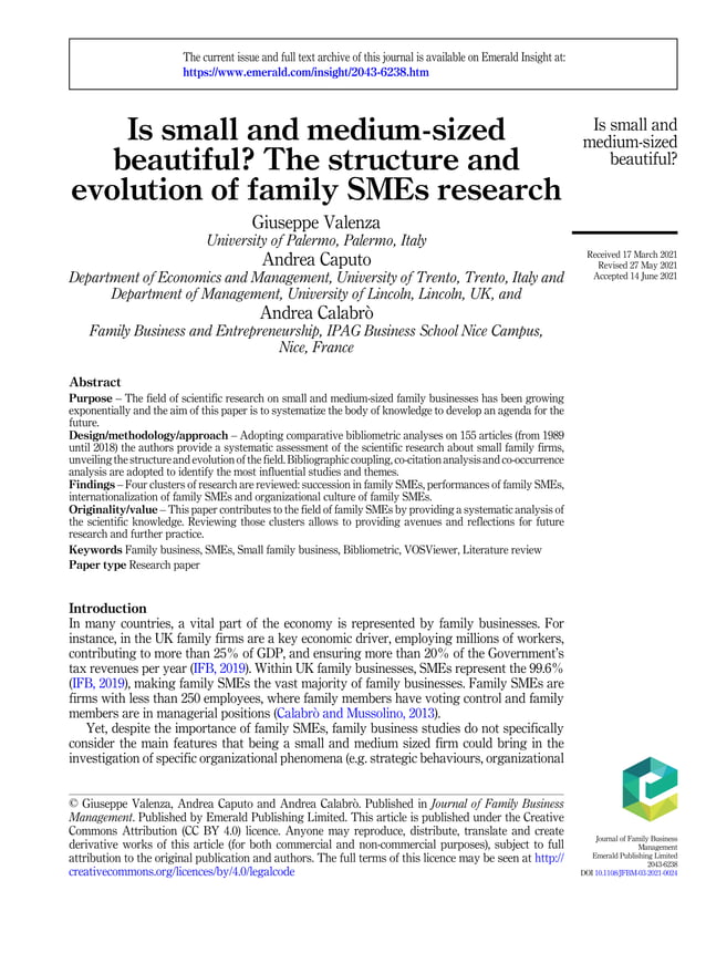 Is small and medium sized beautiful - the structure and evolution of ...