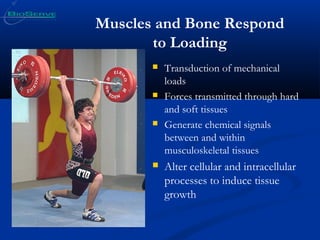 AMGEN Countermeasures for Bone and Muscle Loss in Space and on Earth | PPT