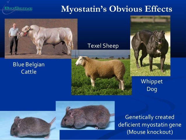AMGEN Countermeasures for Bone and Muscle Loss in Space and on Earth