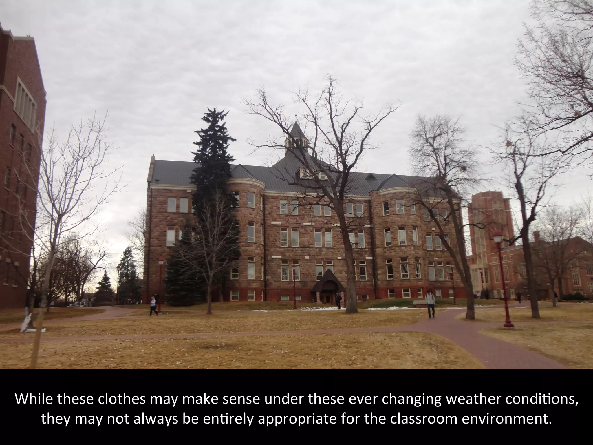 Issue powerpoint | PDF