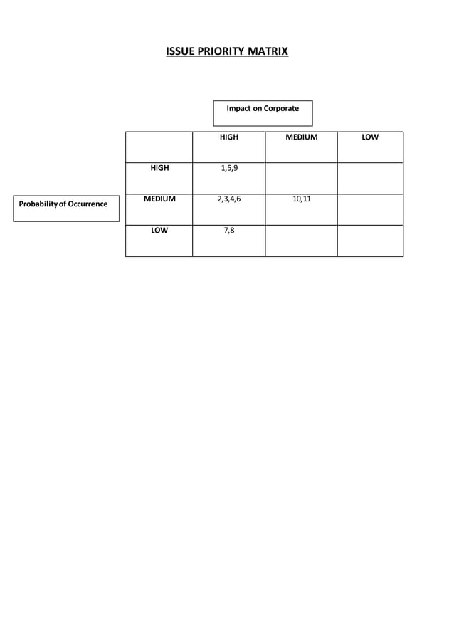 Issue priority matrix for hul beverages | PDF