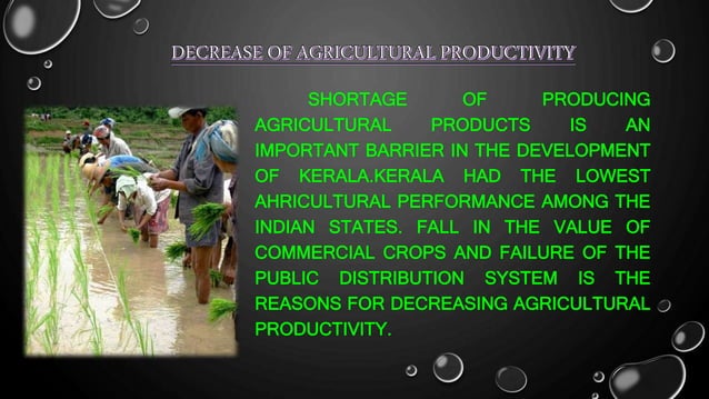 Issues in the development of kerala | PPT