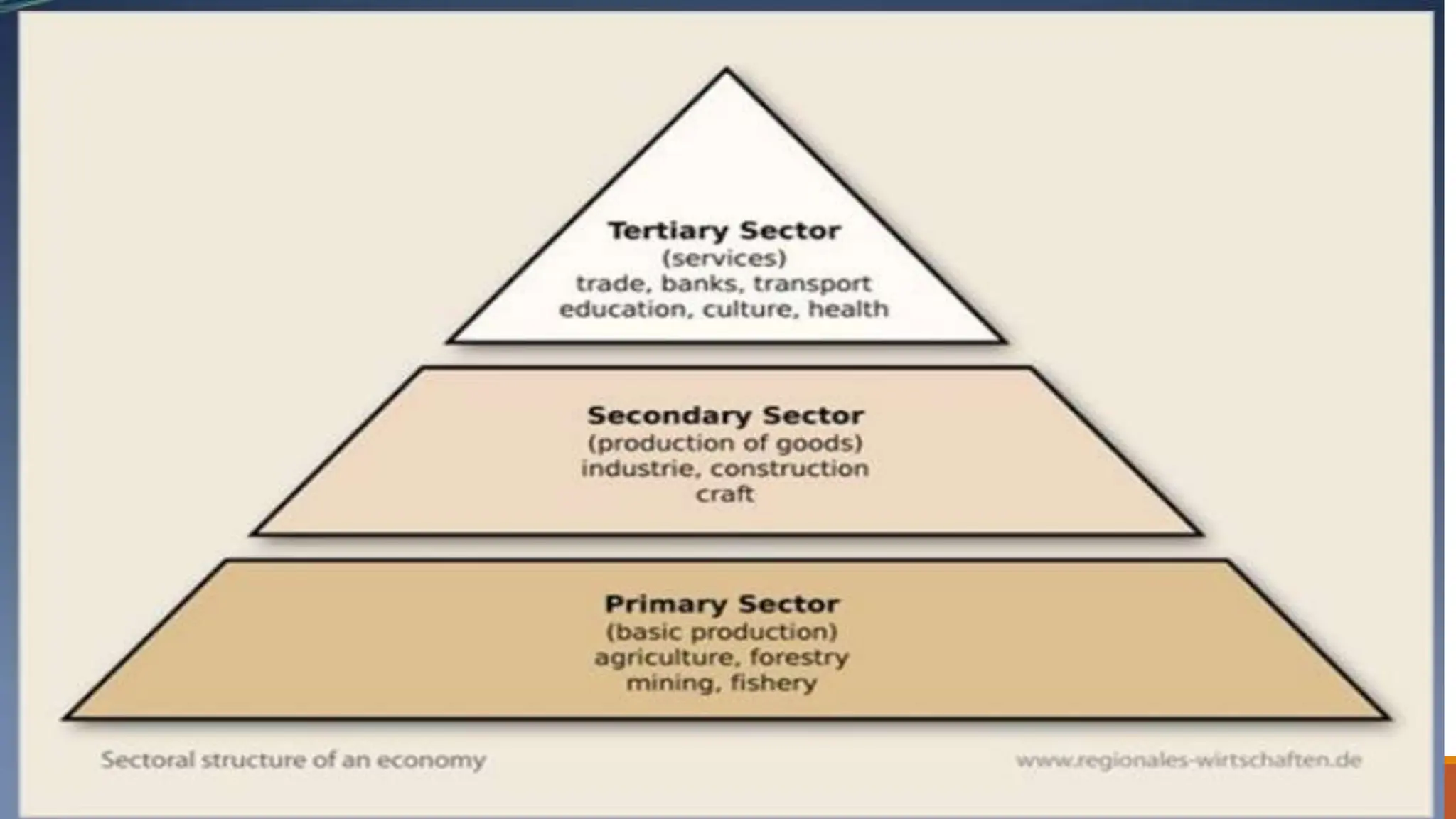 Issues in the World Economy Notes.pptx