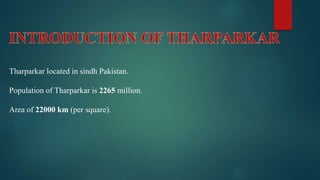 Issues of Tharparkar | PPTX