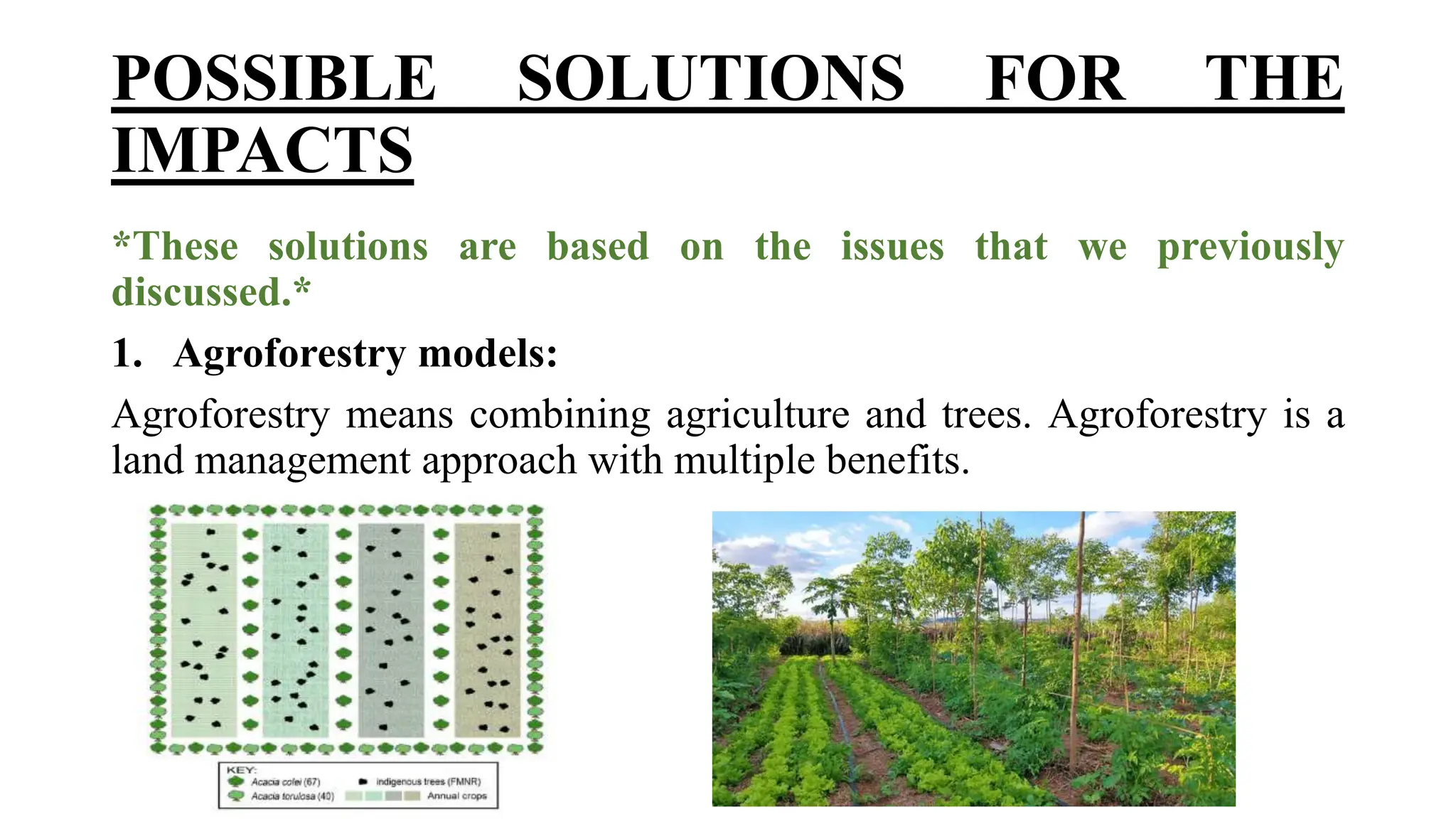 Impacts of agriculture on the environment. | PPTX