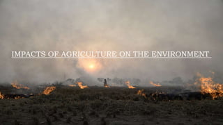 Impacts of agriculture on the environment. | PPTX