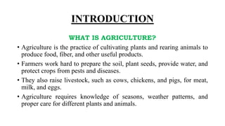 Impacts of agriculture on the environment. | PPTX