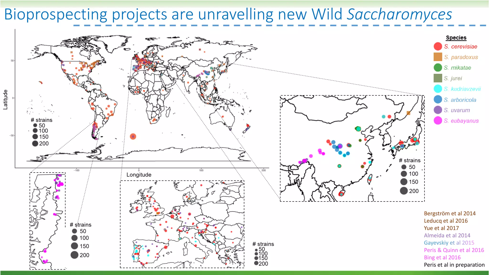 Reticulate Evolution In The Saccharomyces Genus | PPT