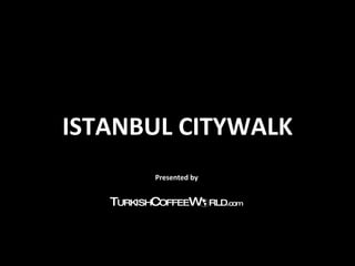 Istanbul Citywalk | PPT