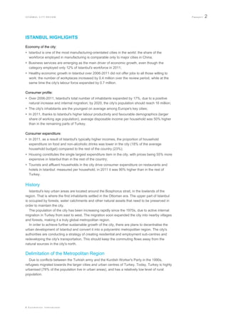 Istanbul report | PDF
