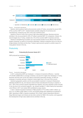 Istanbul report | PDF