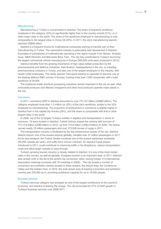 Istanbul report | PDF