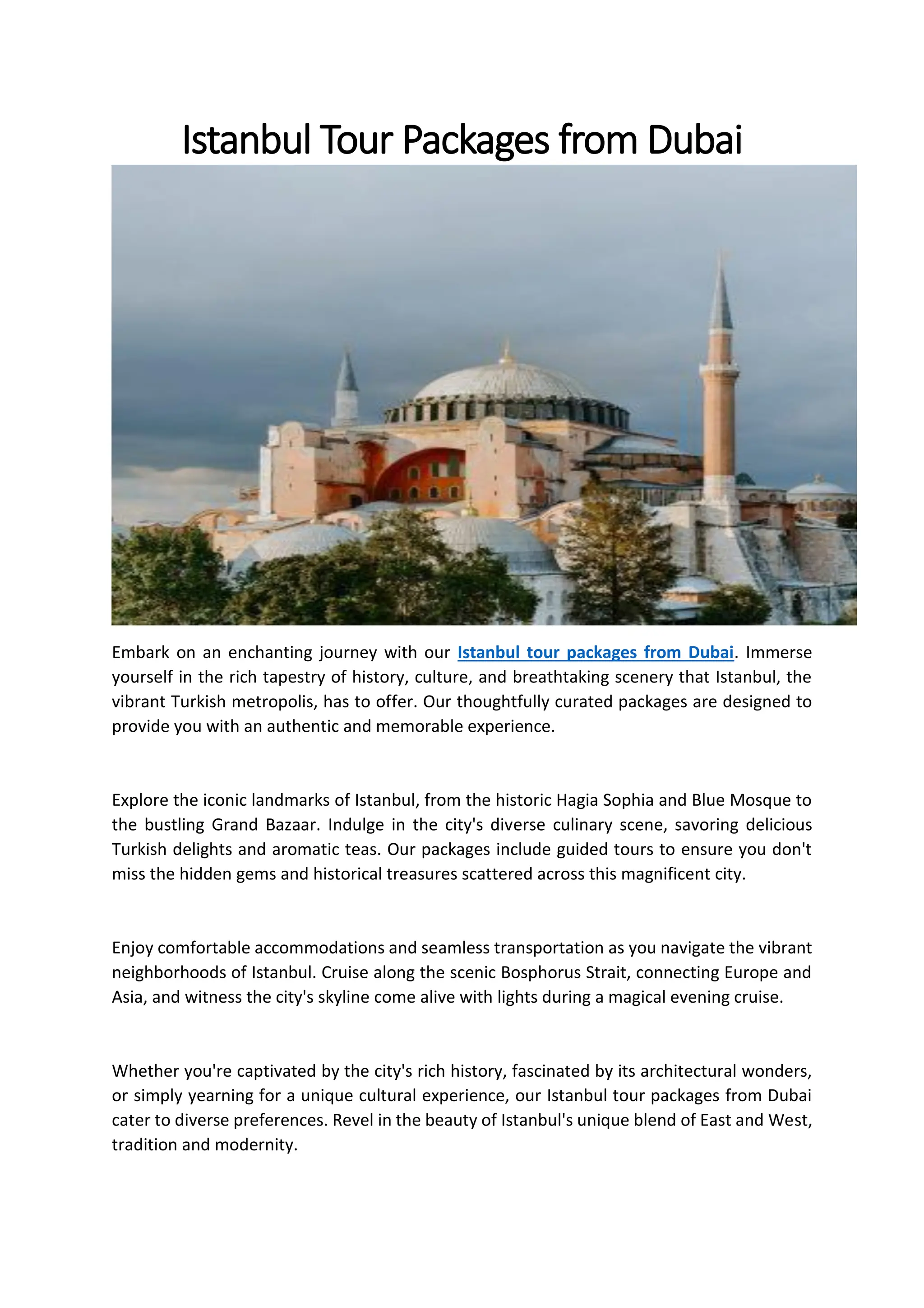 Istanbul Tour Packages from Dubai, UAE.pdf