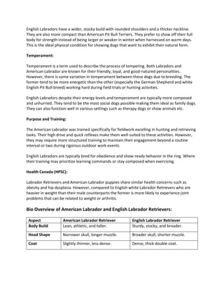 Is there a White Labrador Retriever: Understanding Labrador Retriever ...