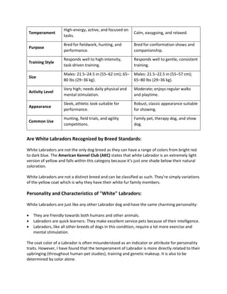 Is there a White Labrador Retriever: Understanding Labrador Retriever ...