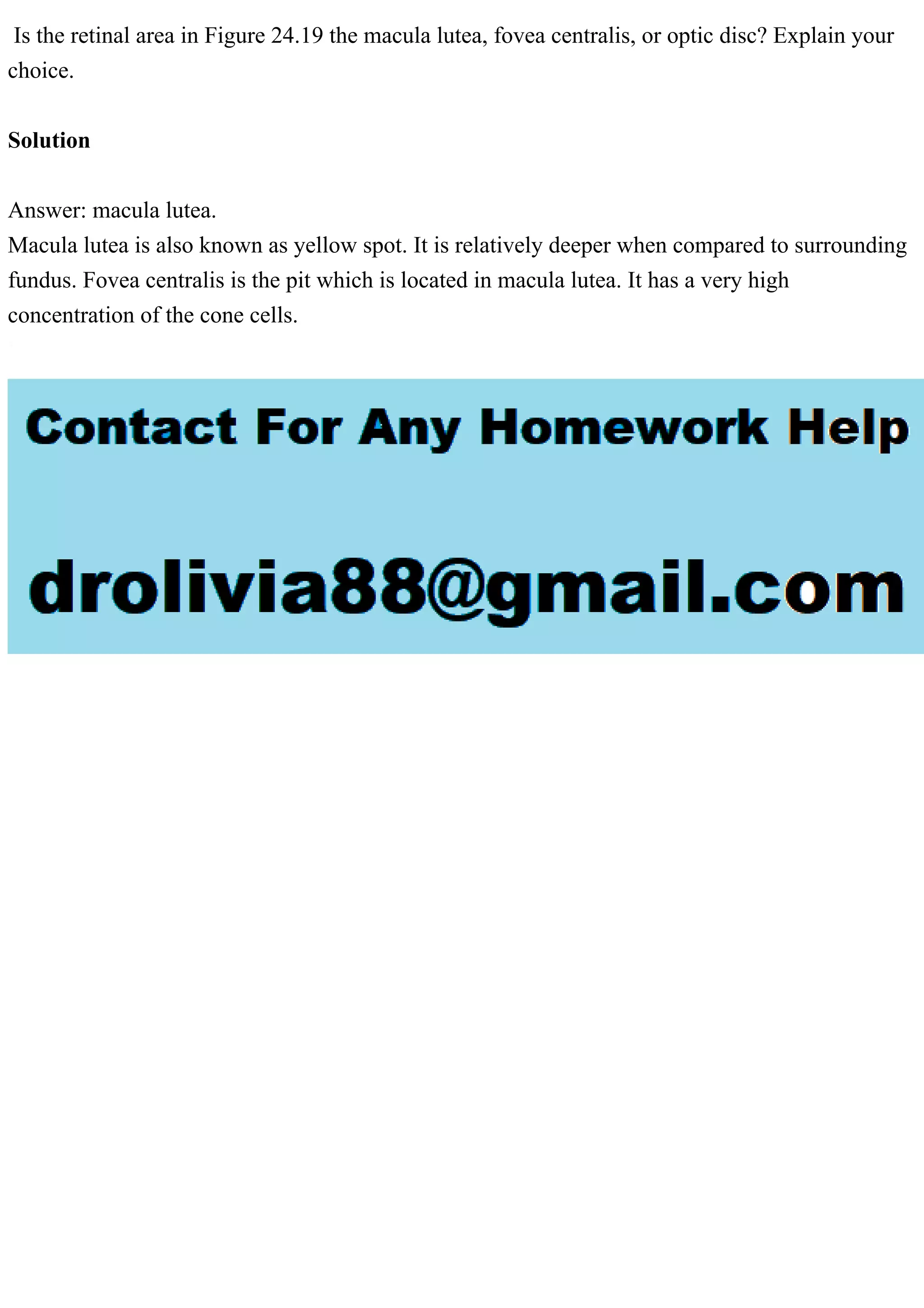 Is the retinal area in Figure 24.19 the macula lutea, fovea centralis.pdf
