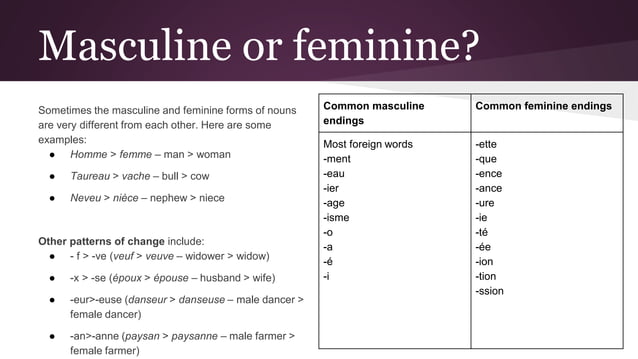 Is the French word masculine or feminine? | PPT