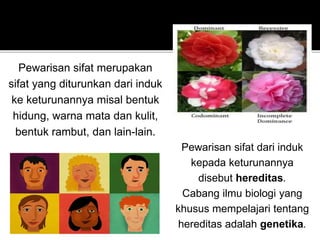 Istilah-Istilah Pewarisan Sifat.pptx