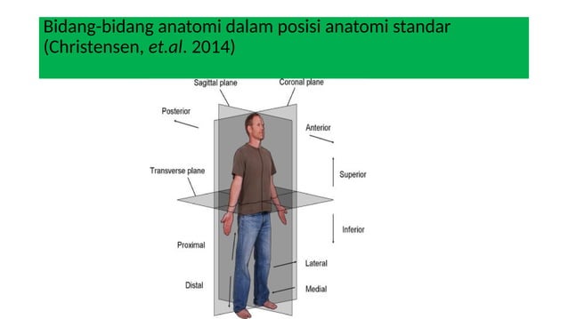 Istilah Anatomi Tubuh manusia yang beragam.pptx
