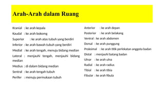 Istilah Anatomi Tubuh manusia yang beragam.pptx