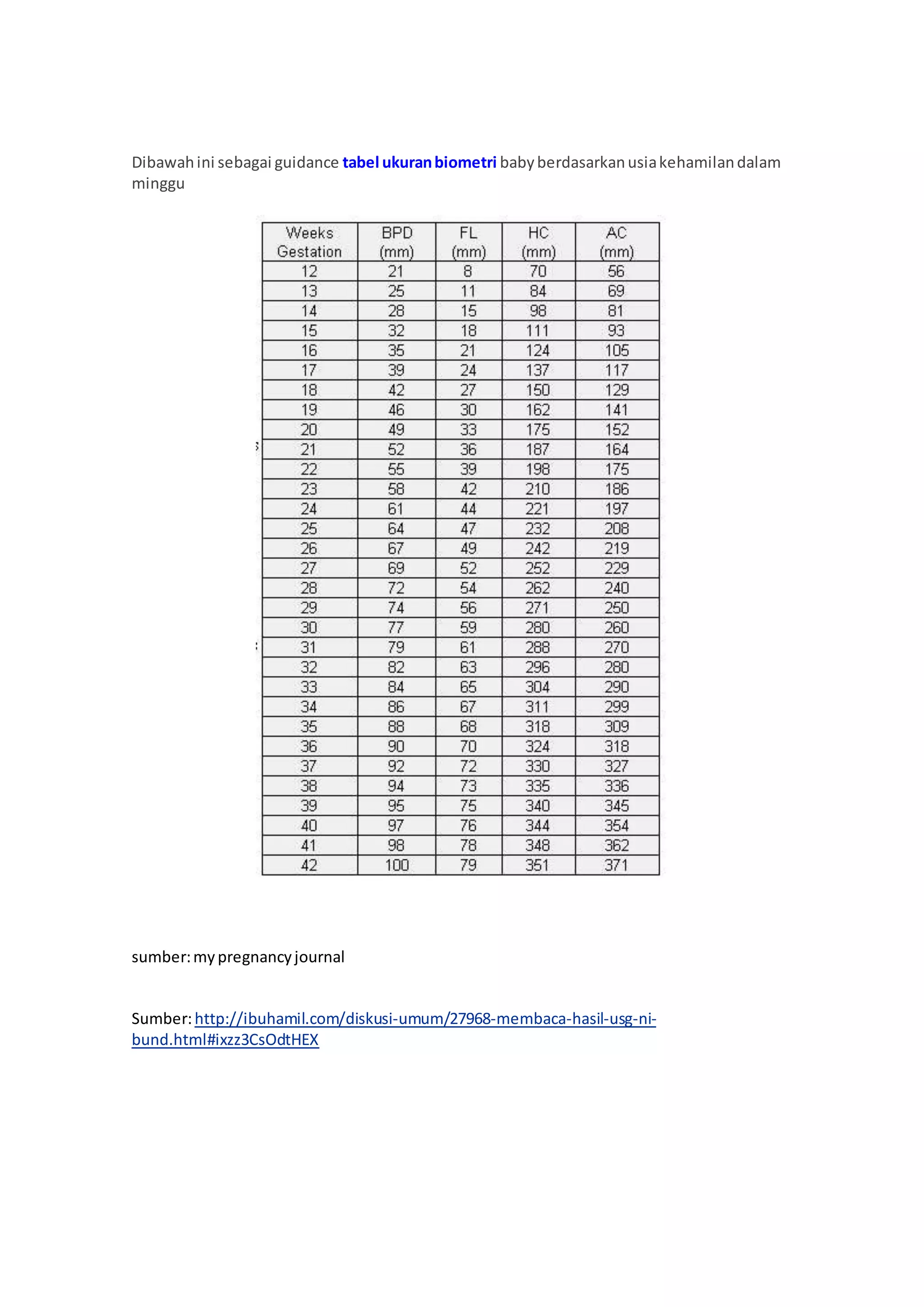 Istilah dalam usg | DOCX