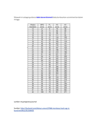 Istilah dalam usg | DOCX