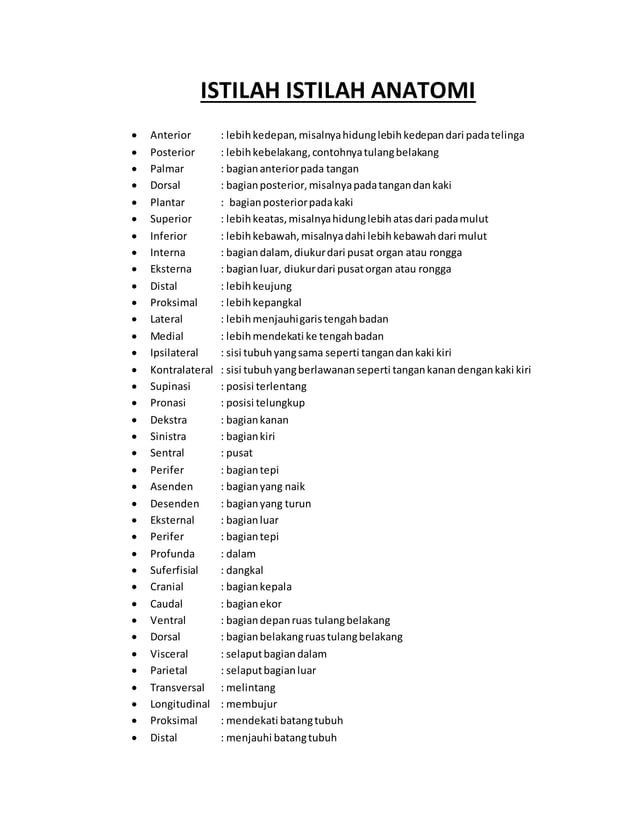 ISTILAH-ANATOMI | PDF
