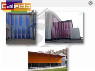 dott.gallina polycarbonate leader | PPTX