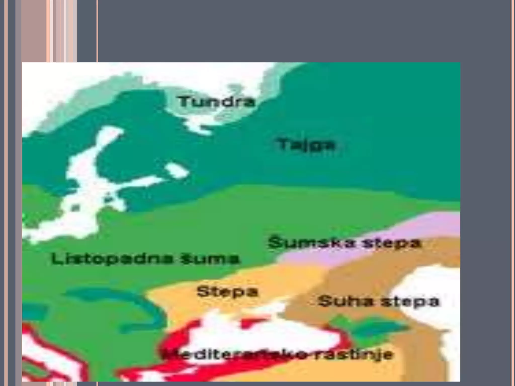 Istocna evropa | PPTX