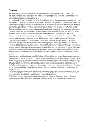 Ιστορία της Μάσκας | PDF