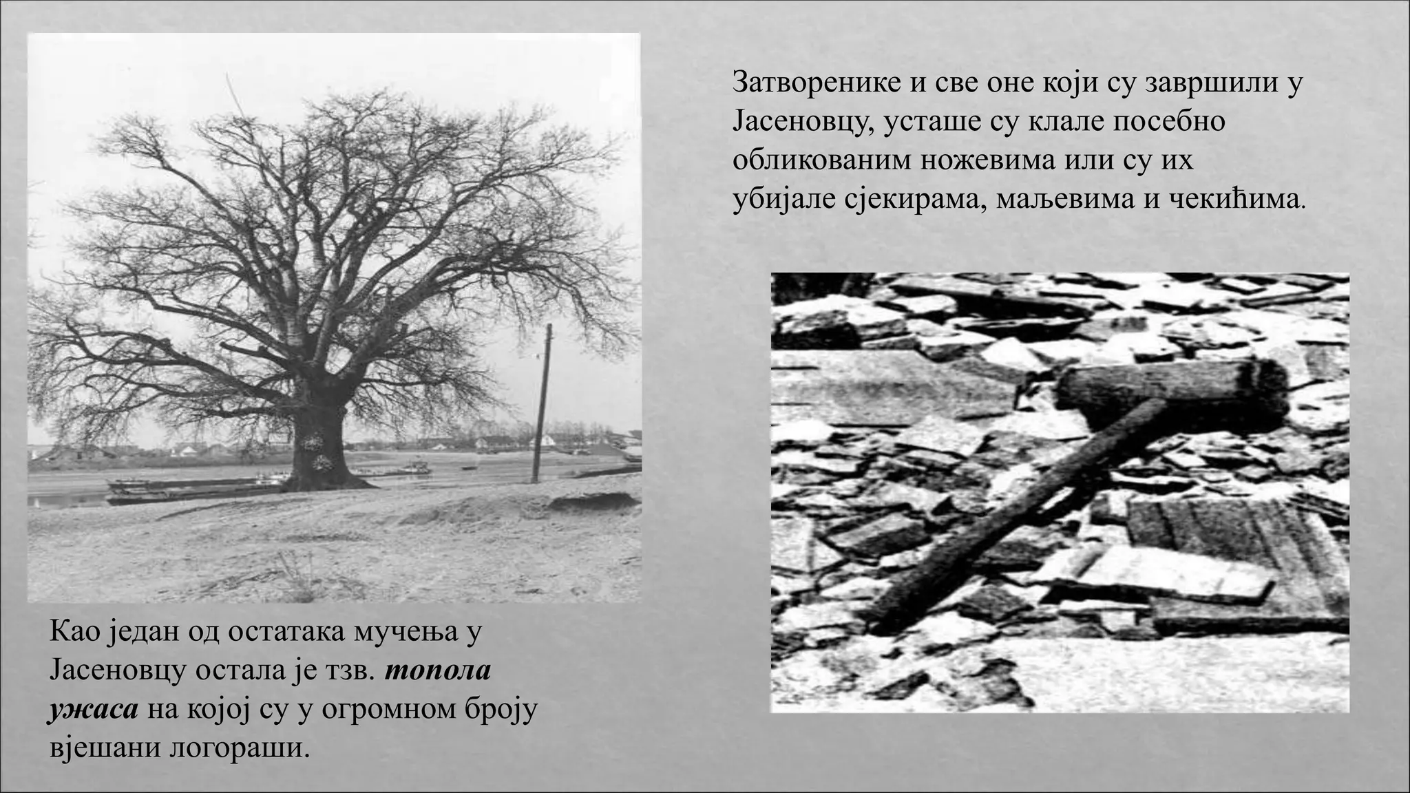 Jasenovac- Donja Gradina- 2020 | PPTX