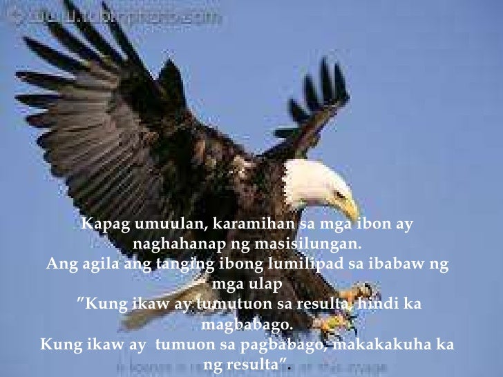 Istorya ng agila