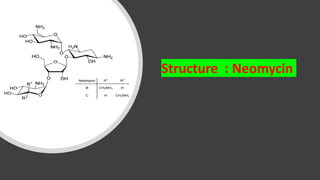 Natural Sources of Drugs e.g. from Microorganisms | PPT