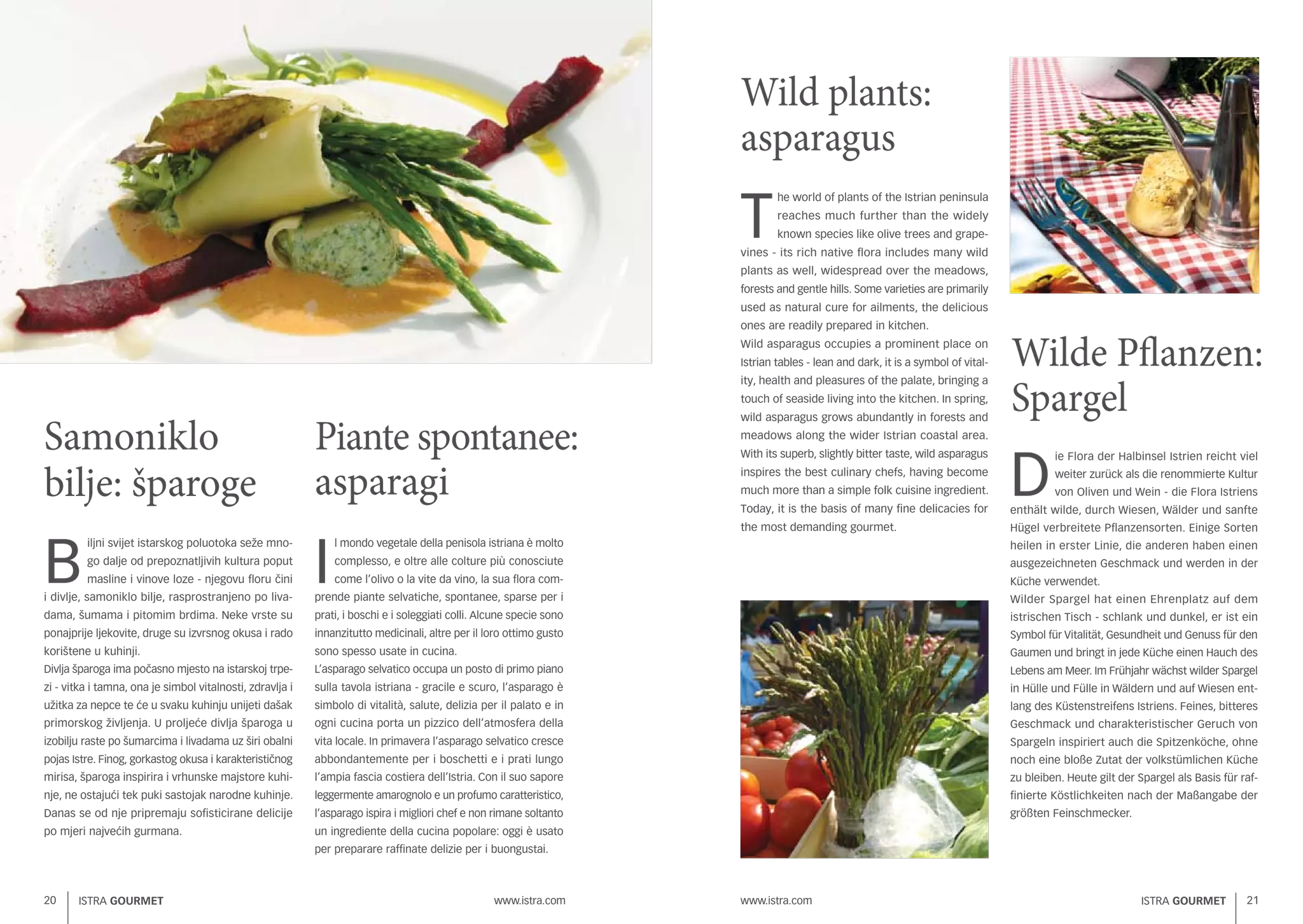 Istragourmet 2014 -2015 | PDF