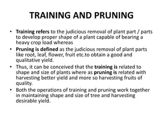 Fundamental of Horticulture Part-1 | PPTX