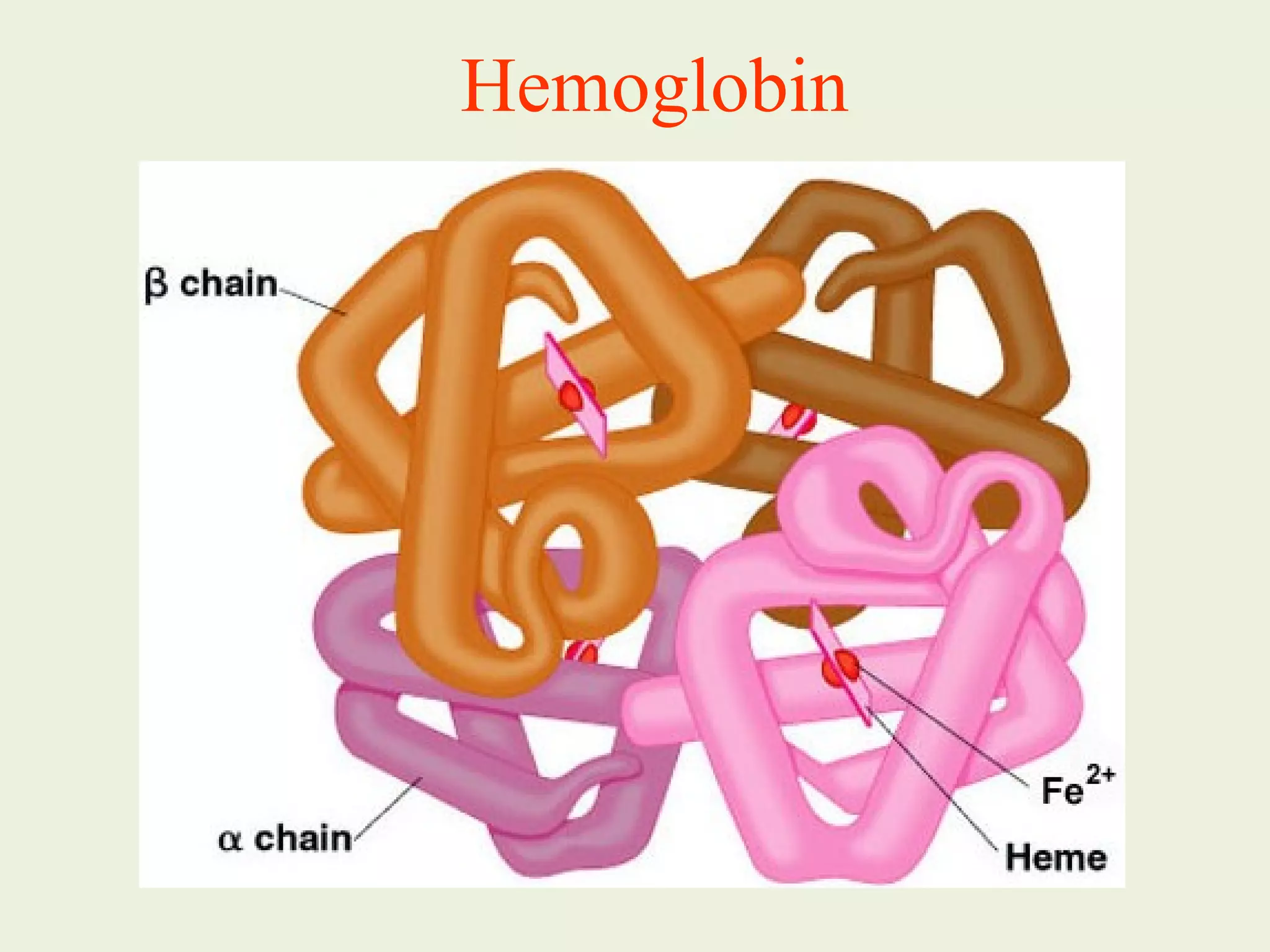 HEMOGLOBIN SYNTHESIS | PPT