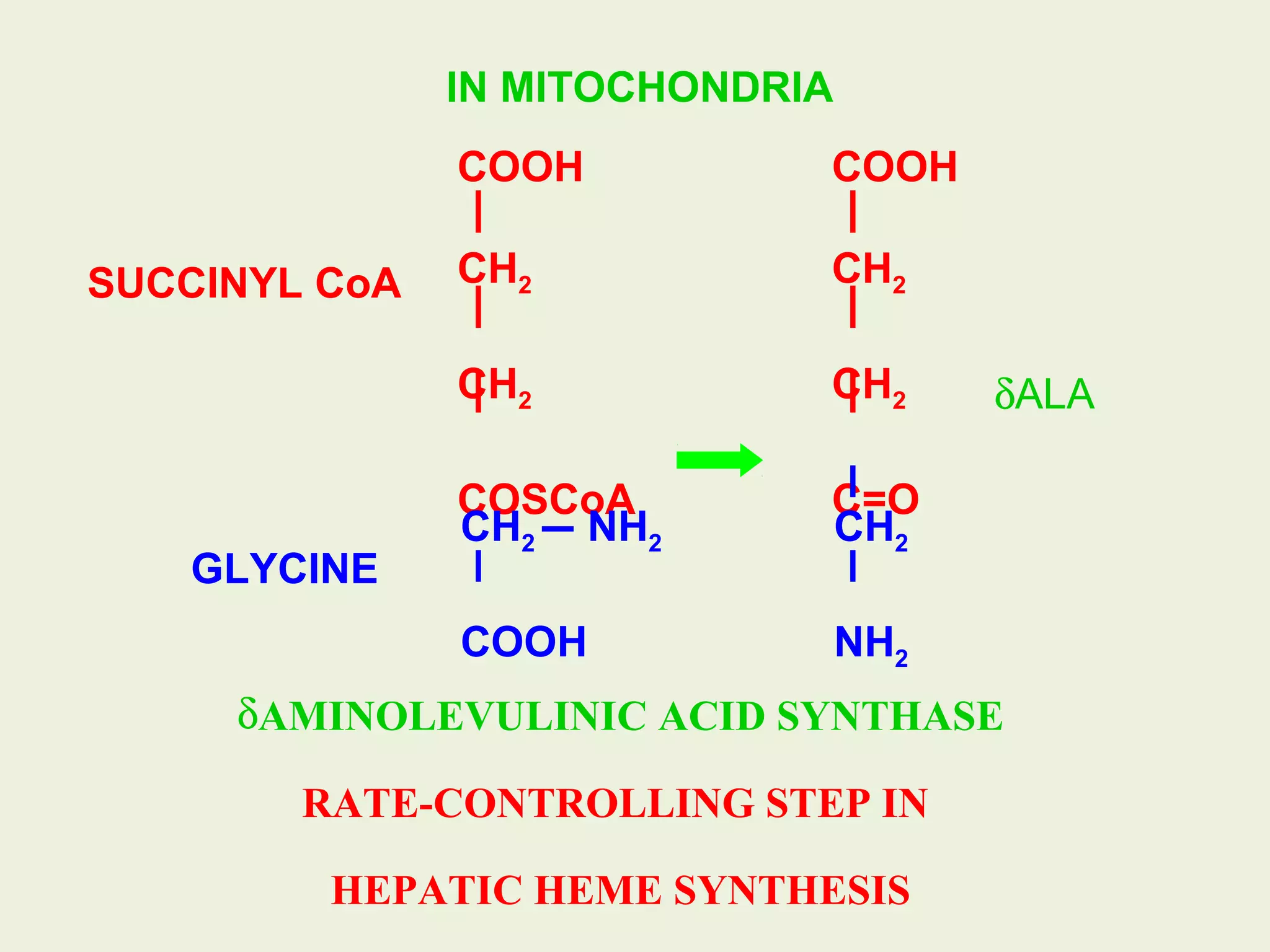 HEMOGLOBIN SYNTHESIS | PPT