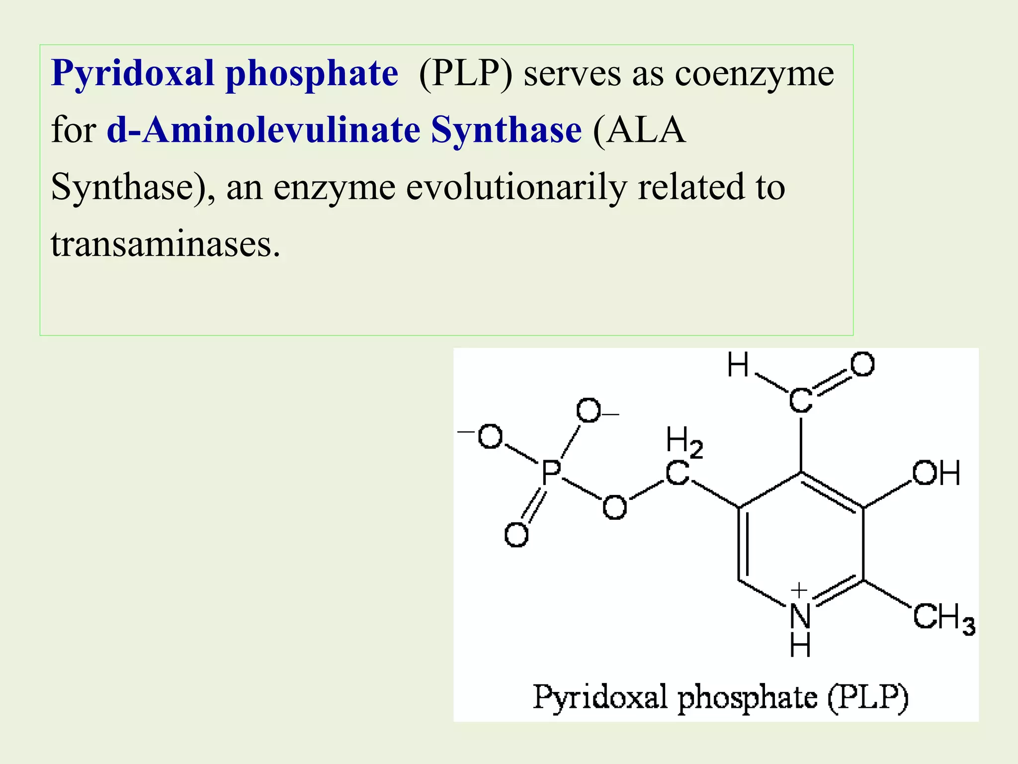 HEMOGLOBIN SYNTHESIS | PPT
