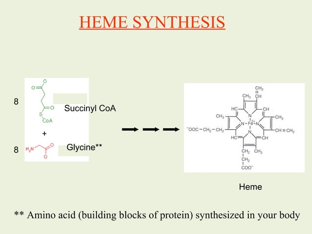 HEMOGLOBIN SYNTHESIS | PPT